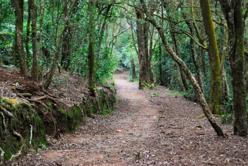 5 Best Little Excursions For Long Weekends - Triplou