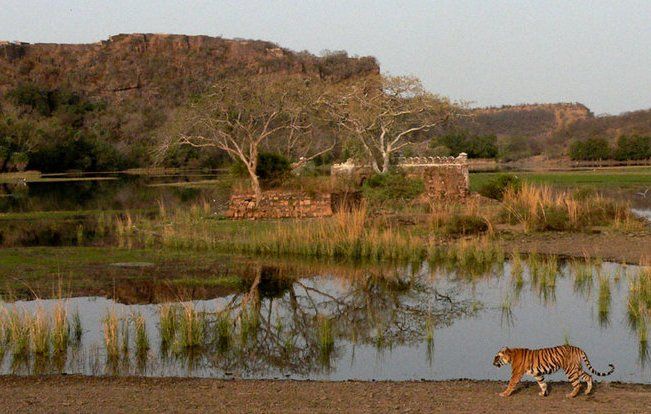 7 Best tourist places to visit in Meghalaya for an astounding ...