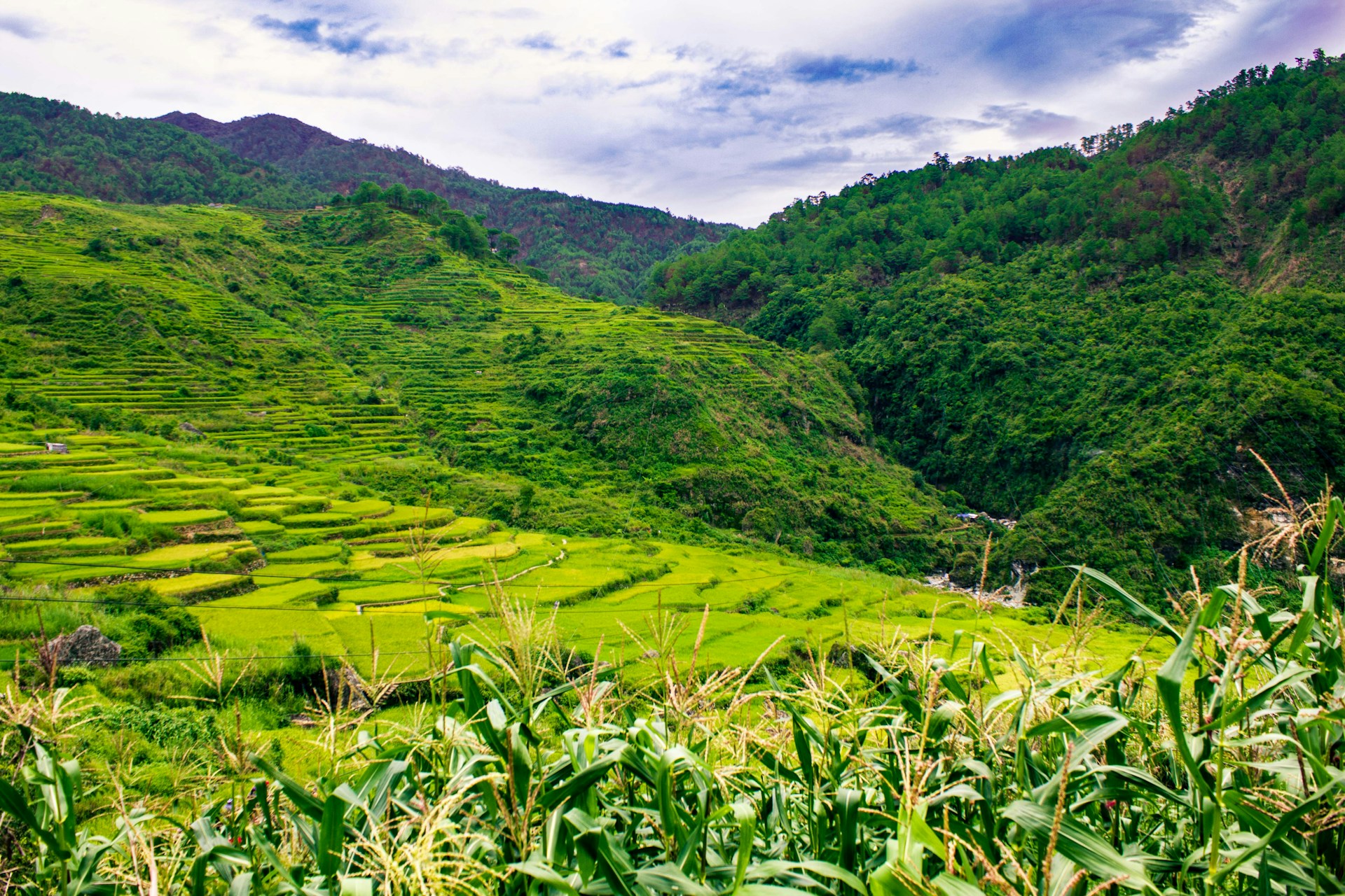Philippines in July: Festivals, Island Adventures, and Cultural ...